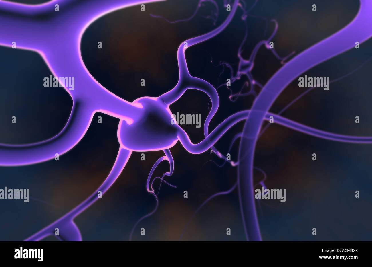 Close up human nerve cells hi-res stock photography and images - Alamy