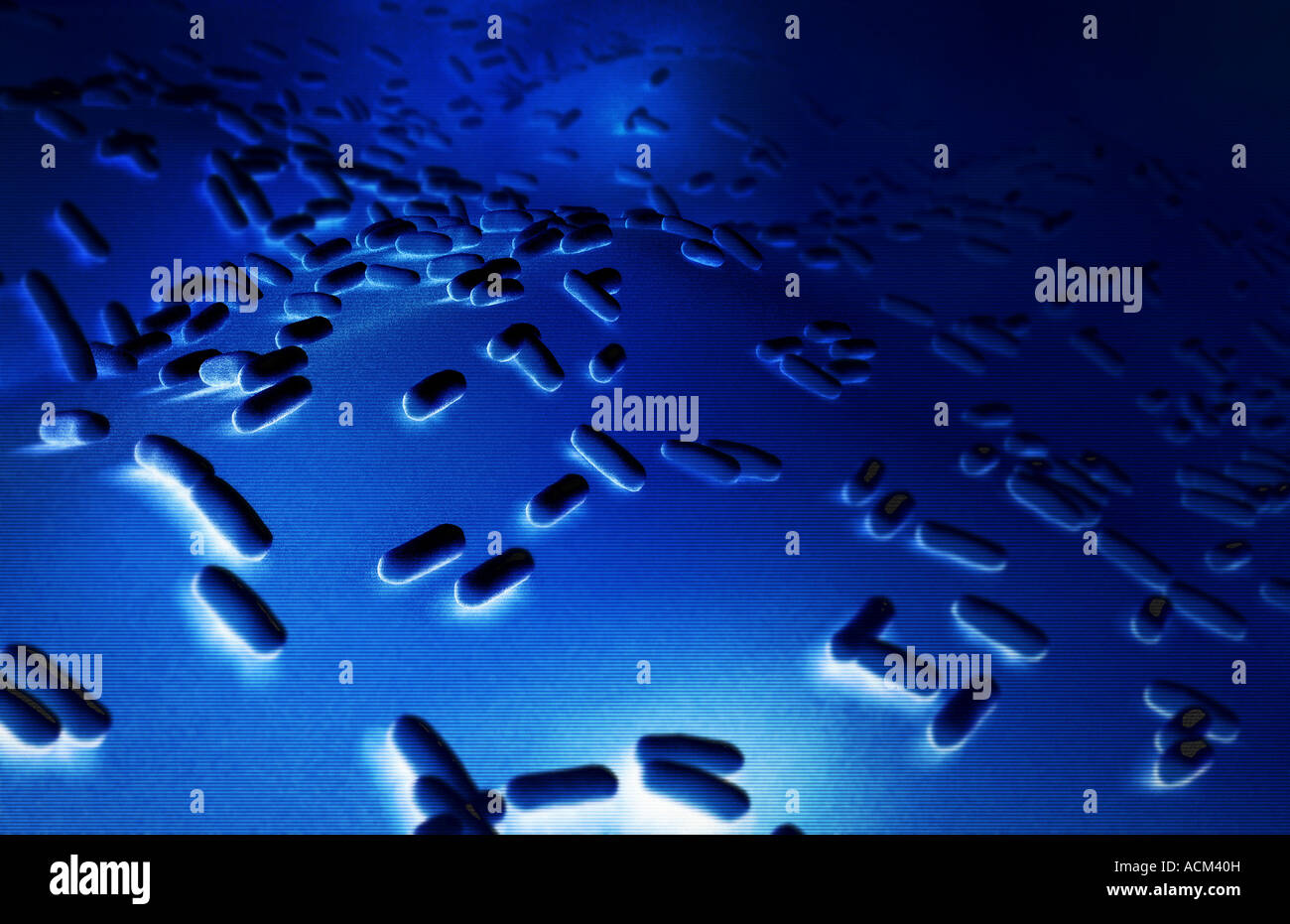 Rod shaped bacteria Stock Photo - Alamy