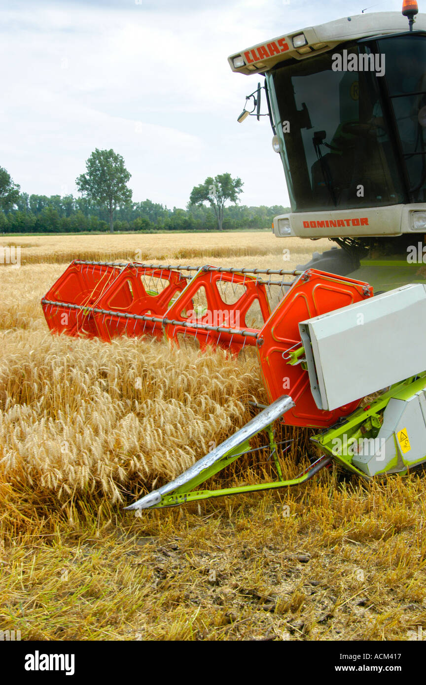 A combine Harvester harvesting crops Frontpart with the harvesting tool ...