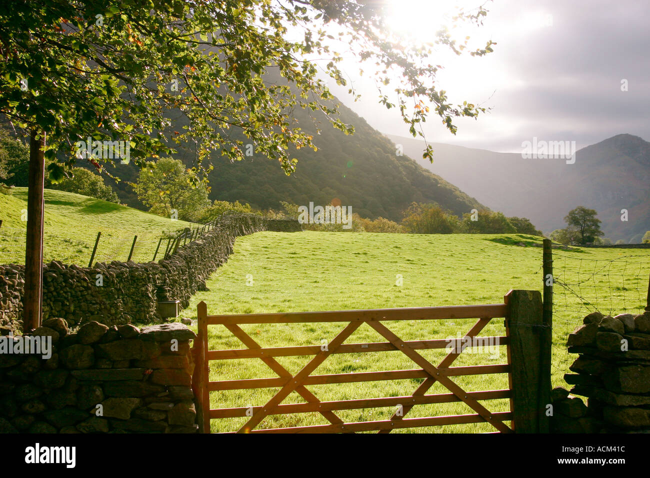 wooden gate and green field in farm Stock Photo - Alamy