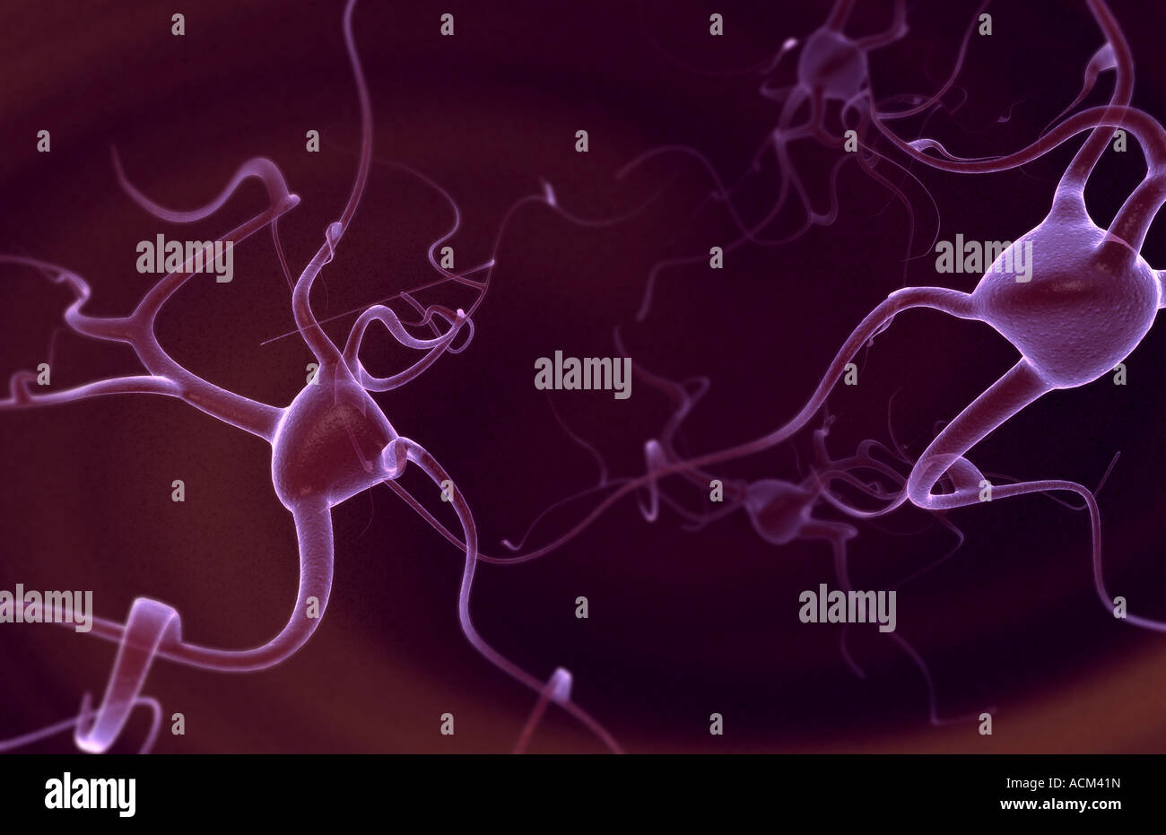 Neuronal axons hi-res stock photography and images - Alamy