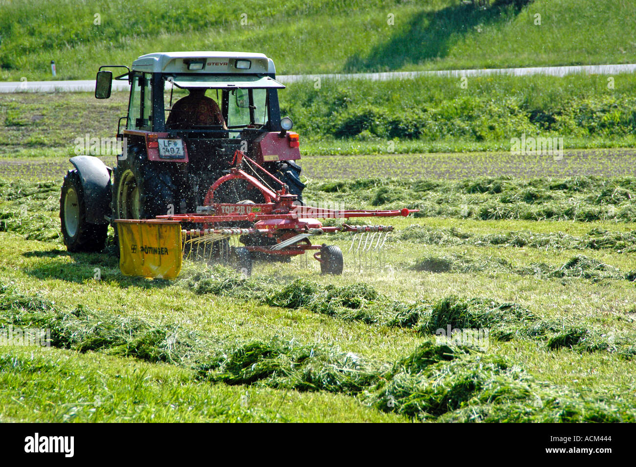 Mowed gras hi-res stock photography and images - Alamy