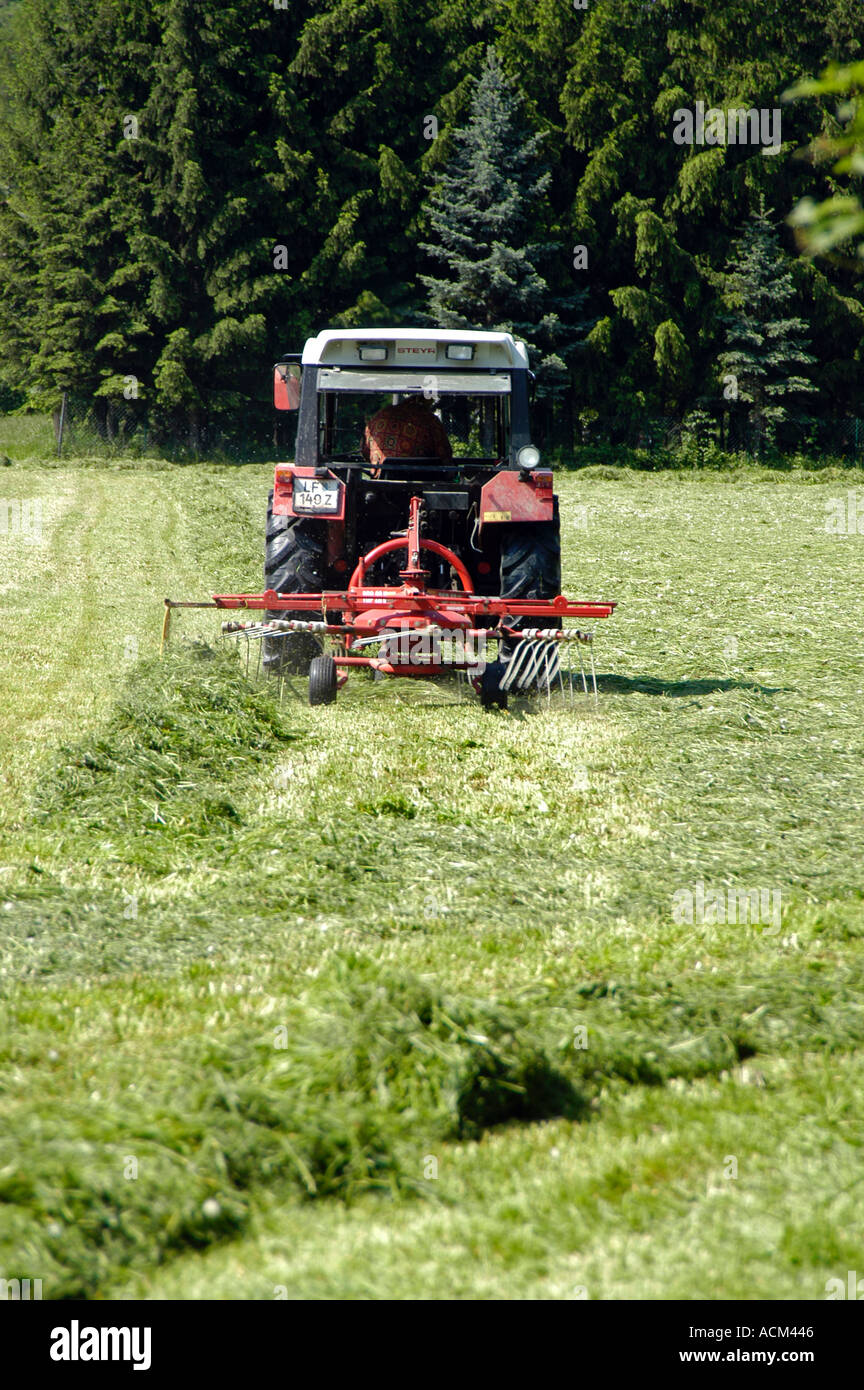 A Tractor turning the fresh mowed gras around Stock Photo - Alamy