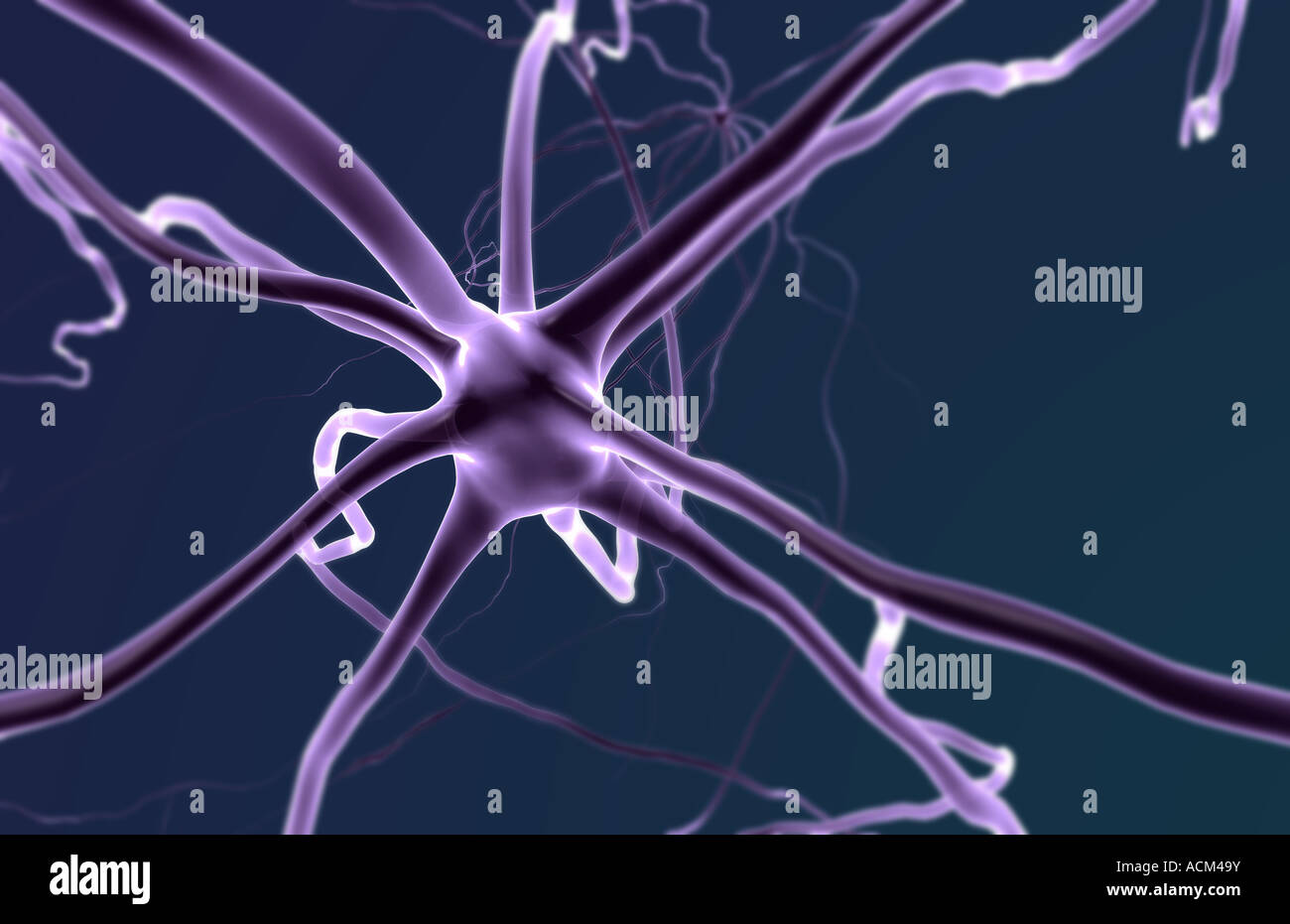 Close up human nerve cells hi-res stock photography and images - Alamy