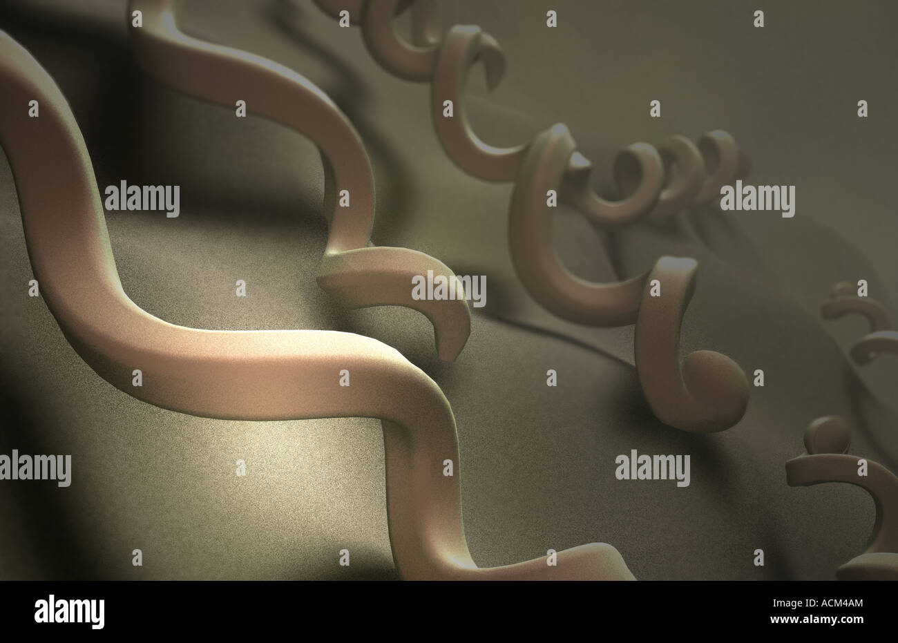 Treponema pallidum hi-res stock photography and images - Alamy