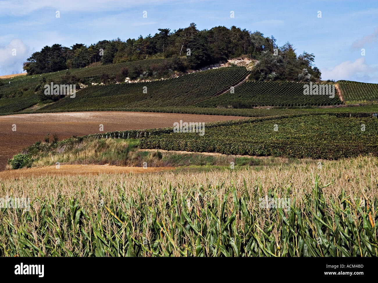 Crops on hillside hi-res stock photography and images - Alamy