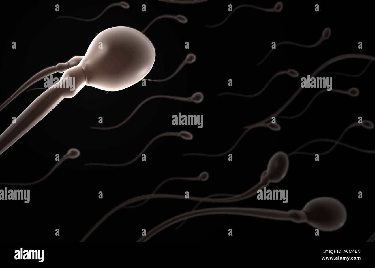 Spermatozoan hi-res stock photography and images - Alamy