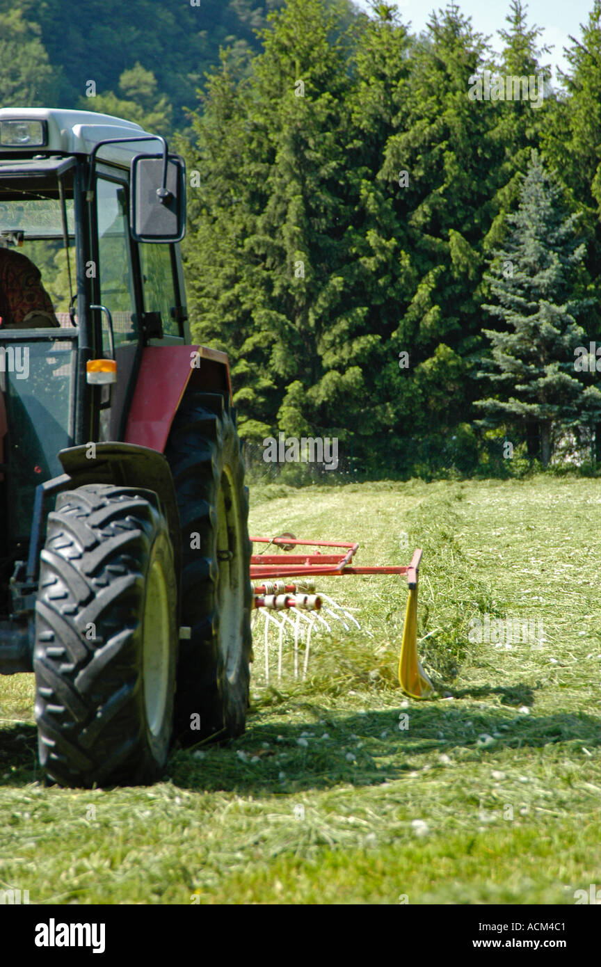 A Tractor turning the fresh mowed gras around Stock Photo - Alamy