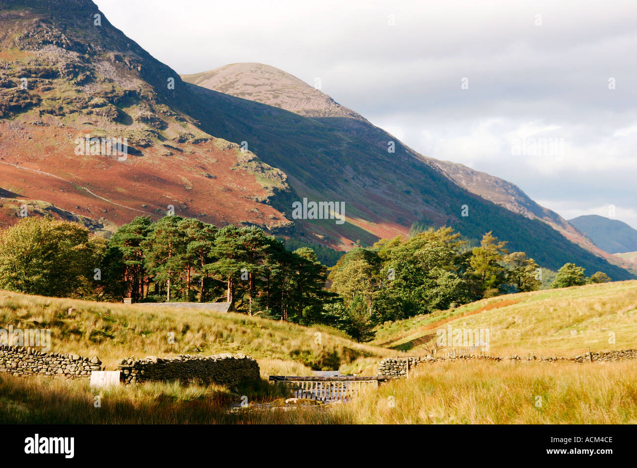 Bridge over Gatesgarth Beck river looking at High Style near Buttermere ...