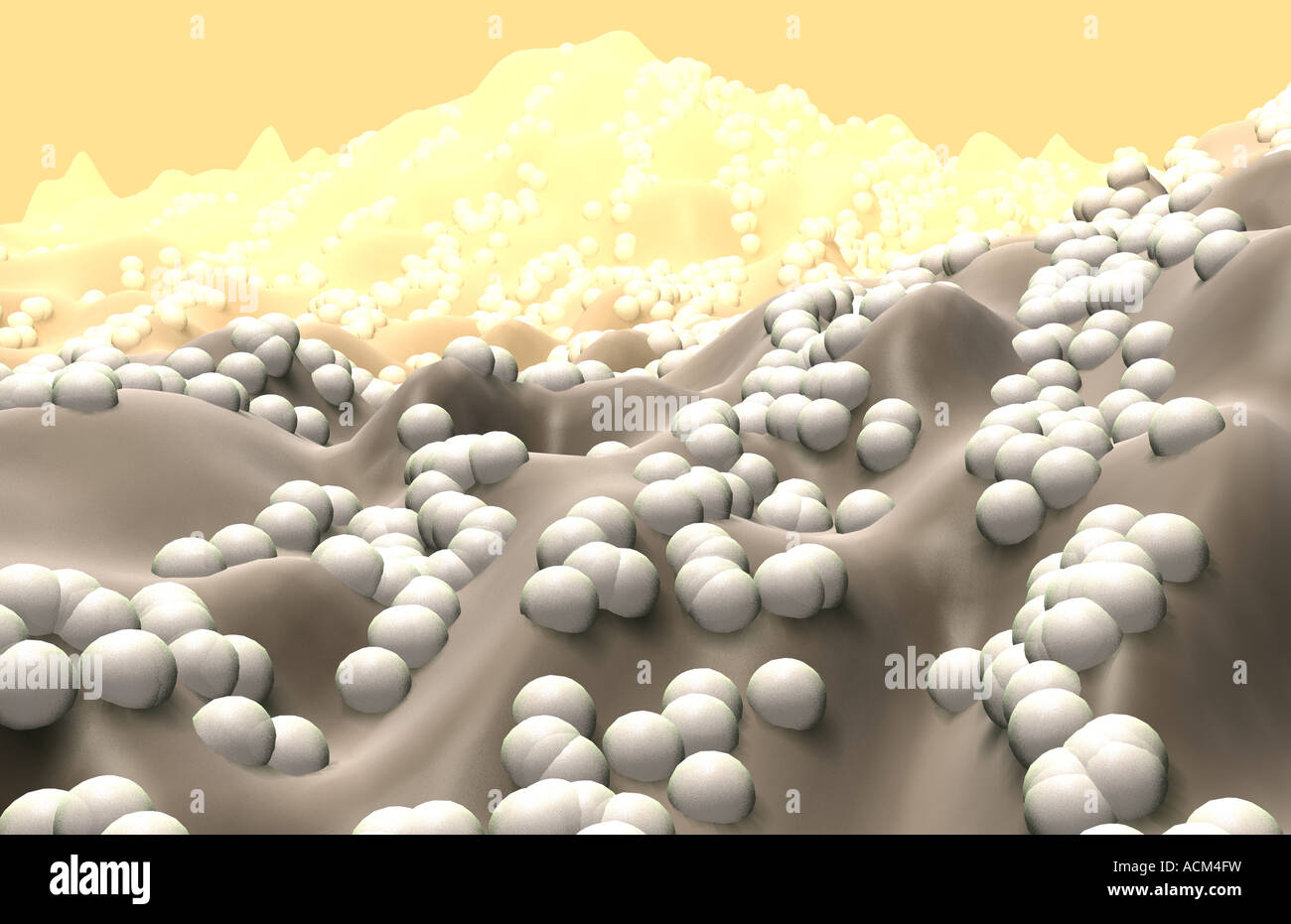 Cocci hi-res stock photography and images - Alamy