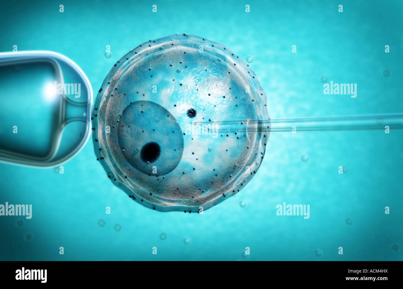 Sperm injection hi-res stock photography and images - Alamy