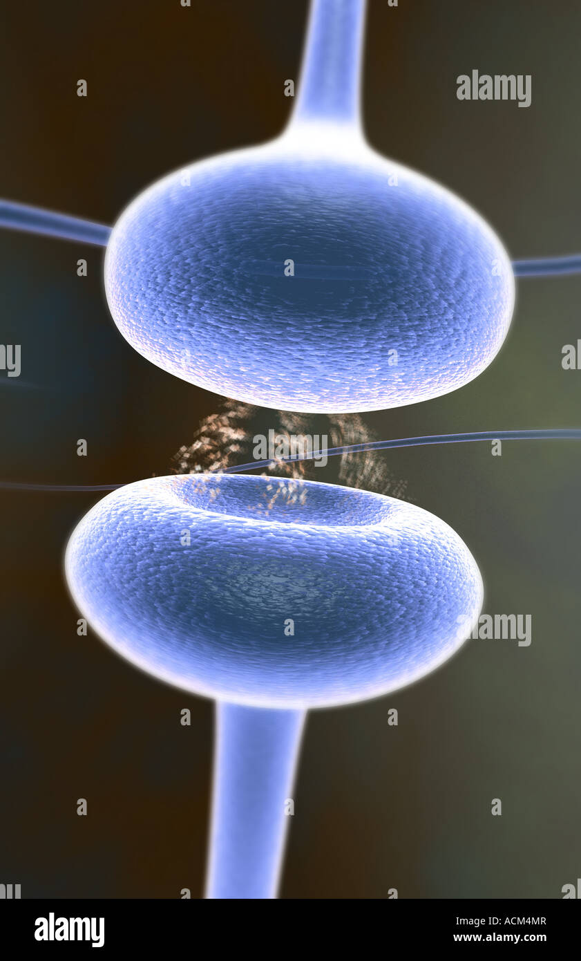 Synapse Stock Photo - Alamy