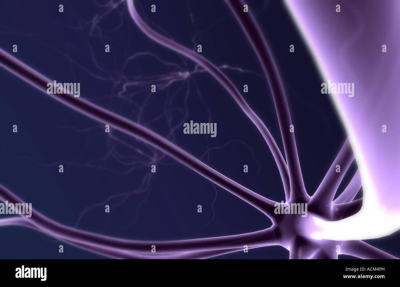 Close up human nerve cells hi-res stock photography and images - Alamy