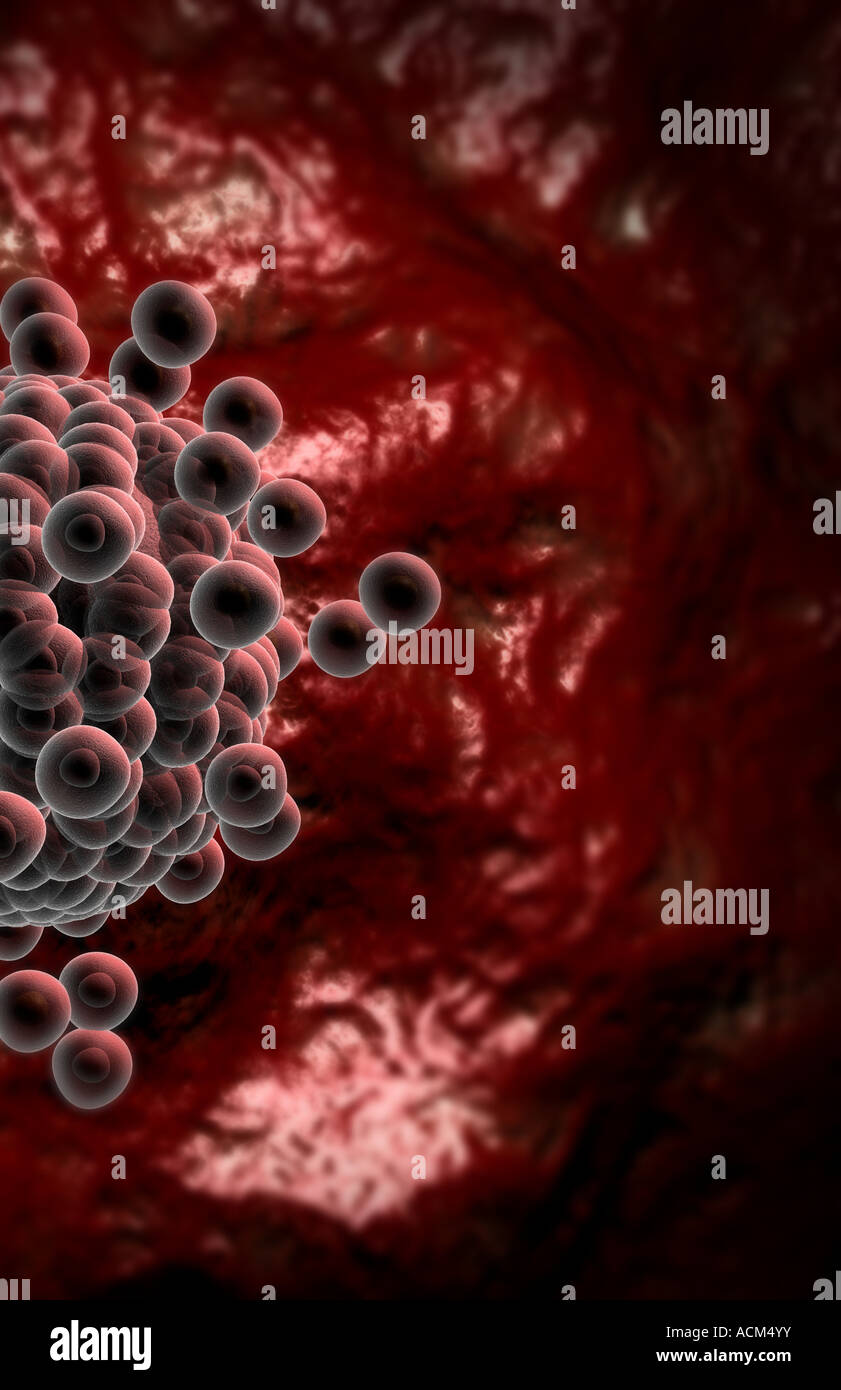 Human ovum corona radiata hi-res stock photography and images - Alamy