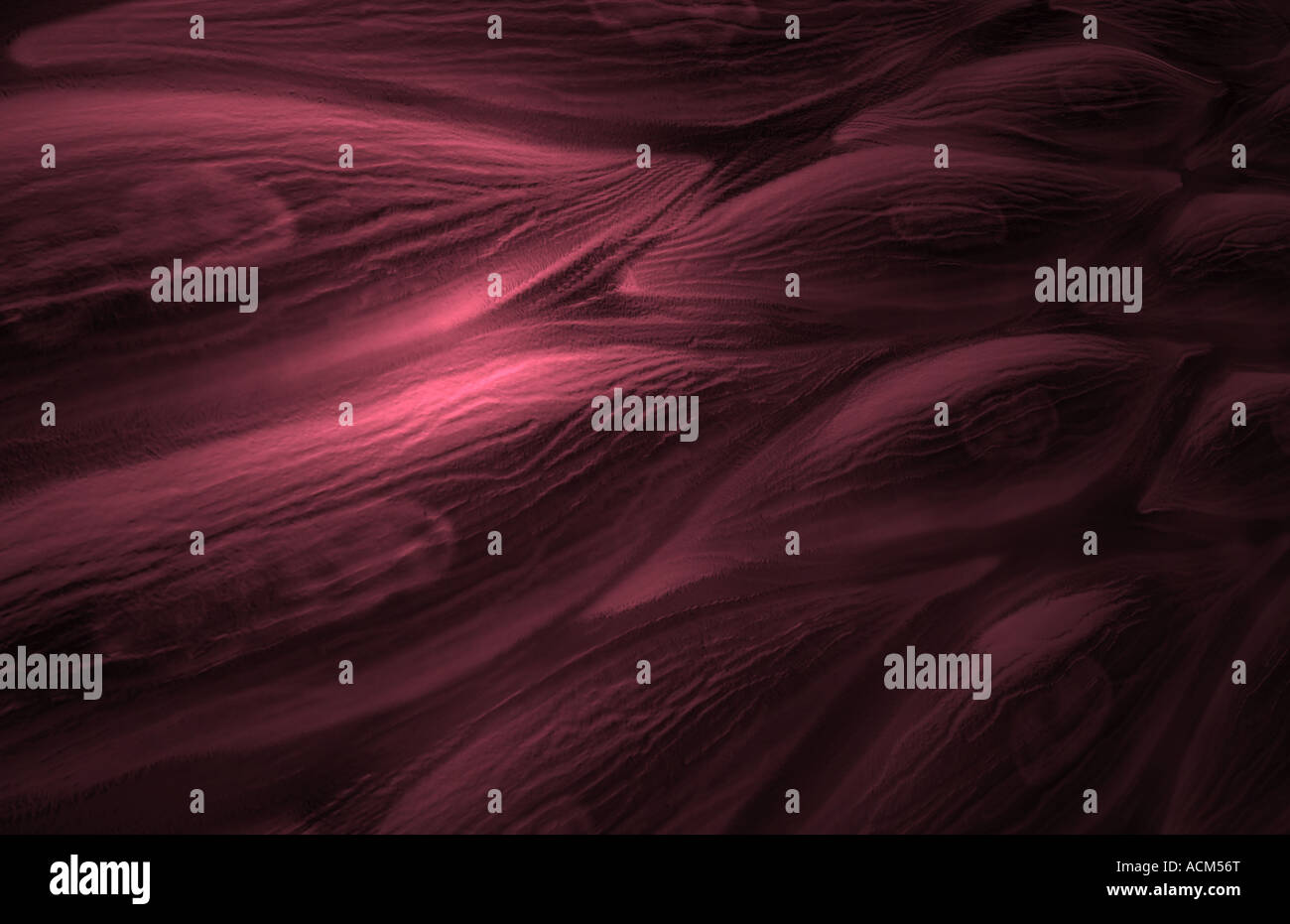 Microstructure of muscle hi-res stock photography and images - Alamy