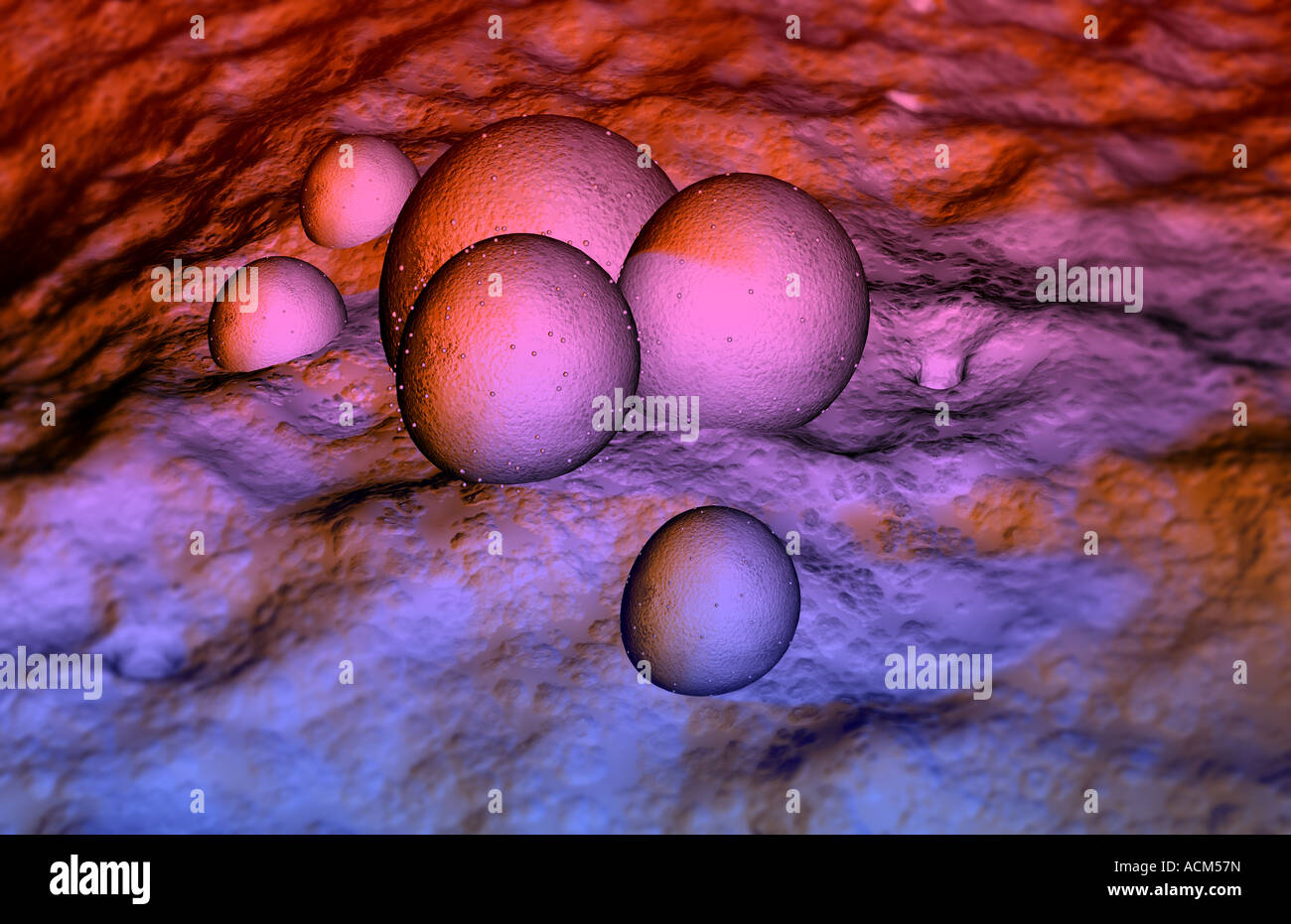 The structure of MRSA Stock Photo - Alamy