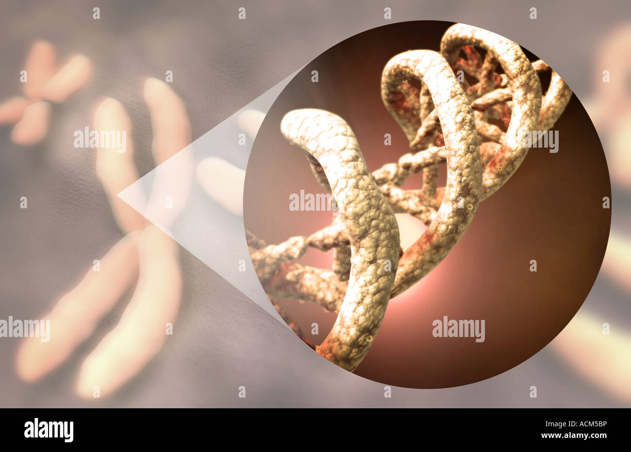 Genetic code realistic hi-res stock photography and images - Alamy