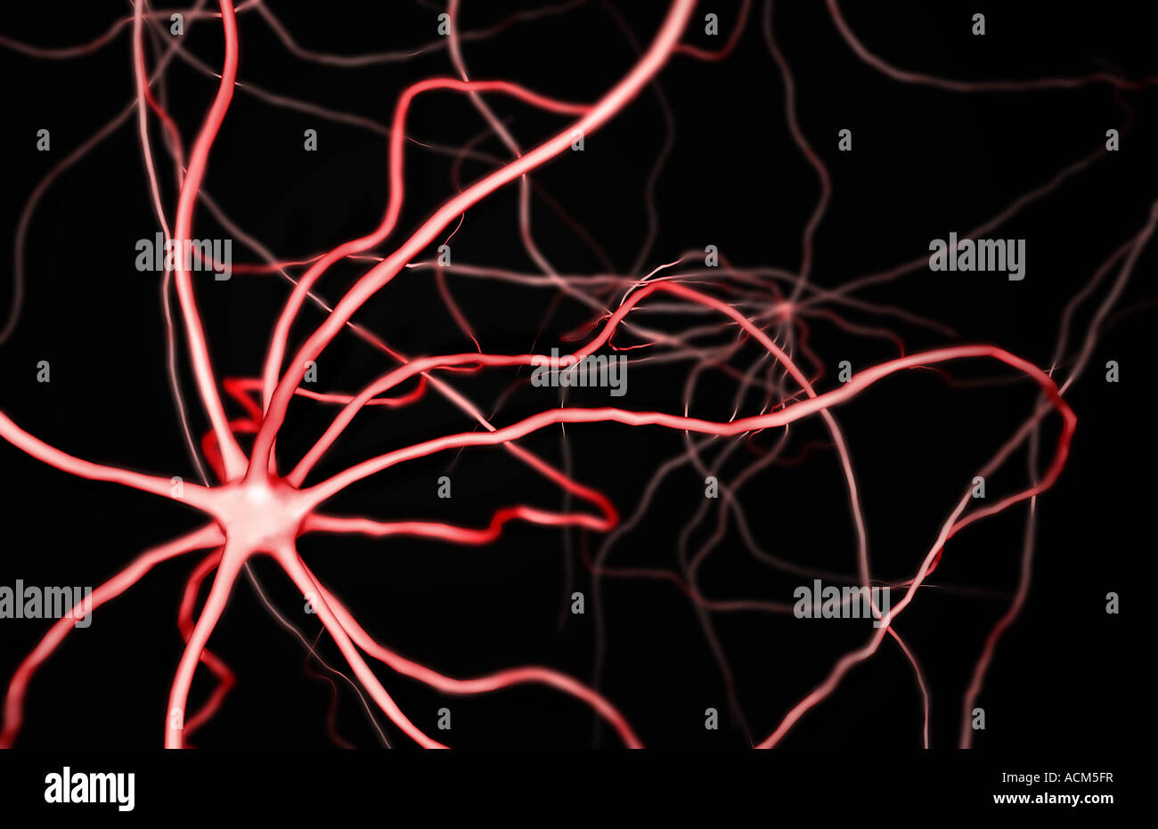 Neuronal axons hi-res stock photography and images - Alamy