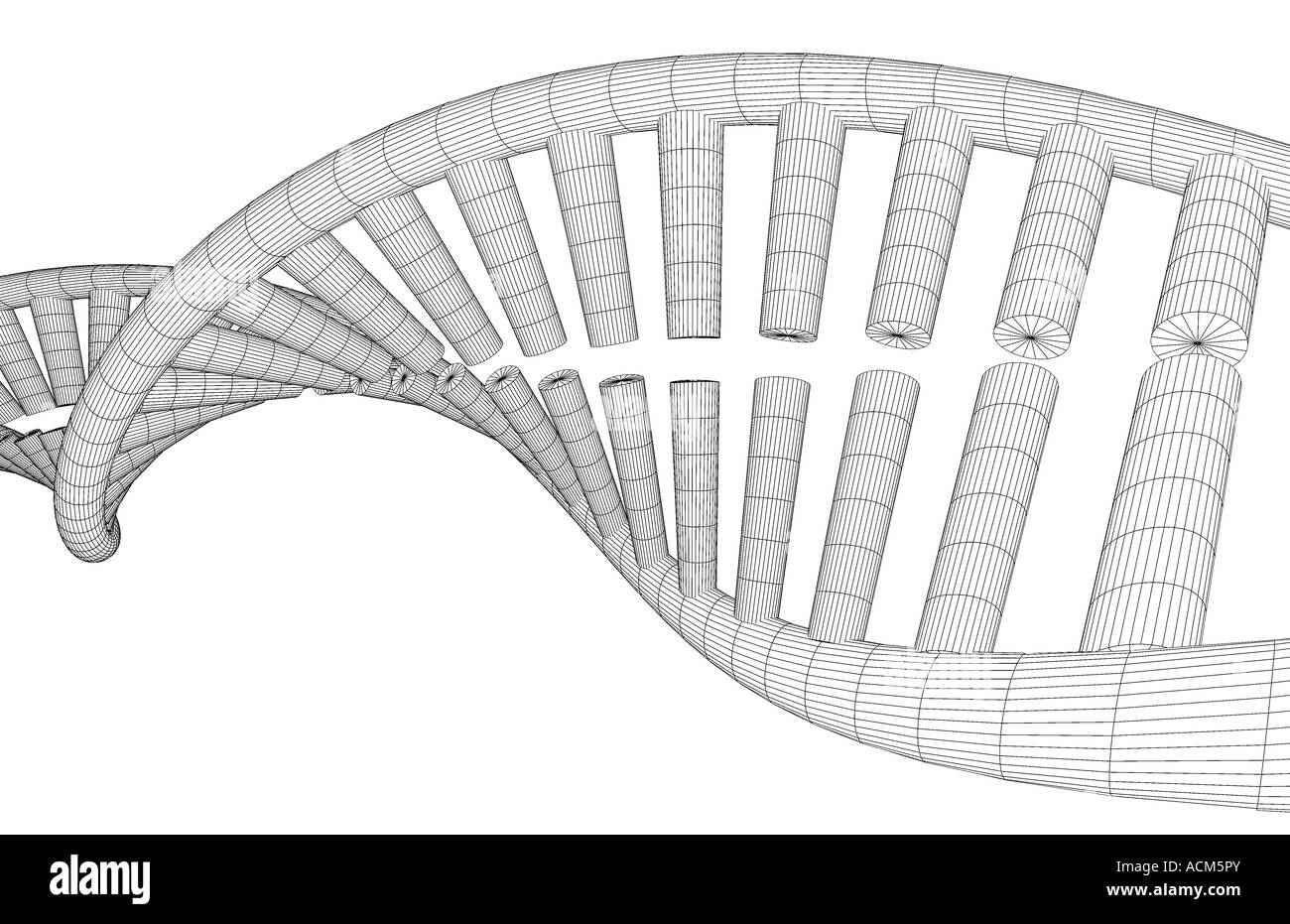 Dna double helix Black and White Stock Photos & Images - Alamy
