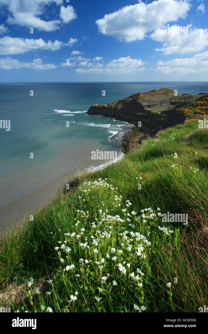 Kettleness cliff hi-res stock photography and images - Alamy