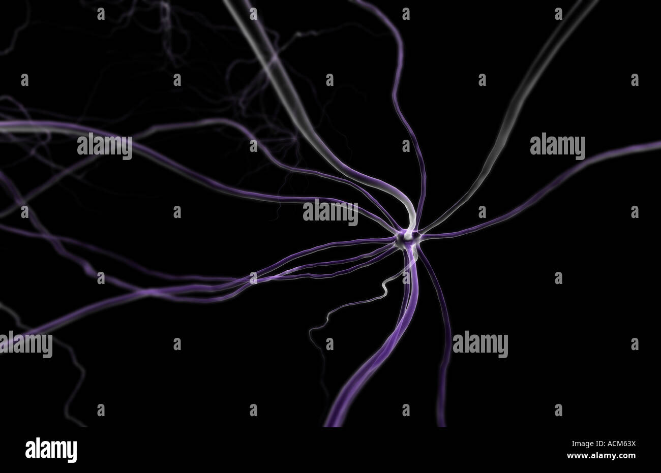 Neuronal axons hi-res stock photography and images - Alamy