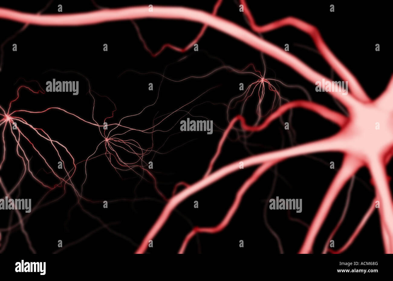 Close up human nerve cells hi-res stock photography and images - Alamy