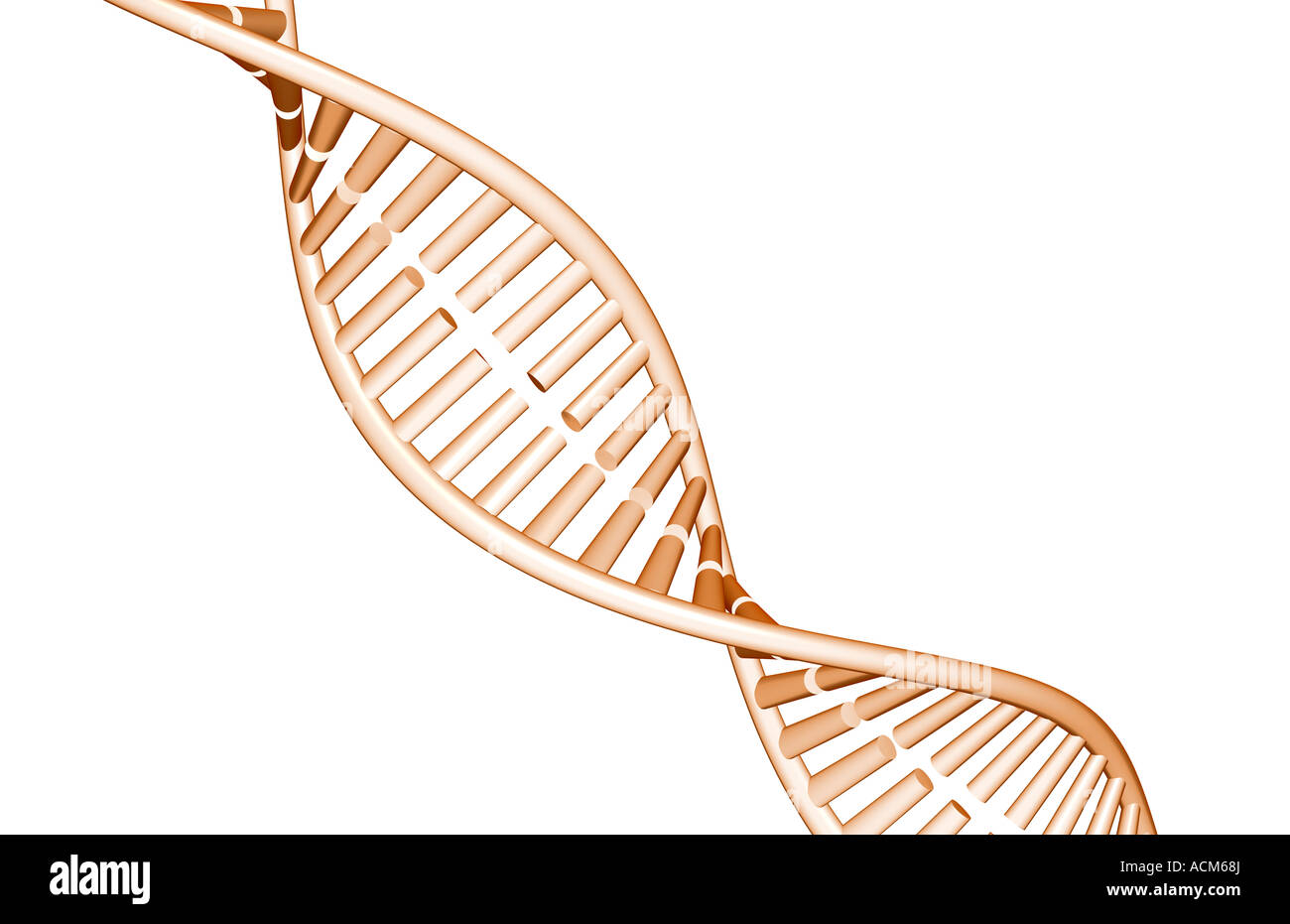 Dna structure Cut Out Stock Images & Pictures - Alamy