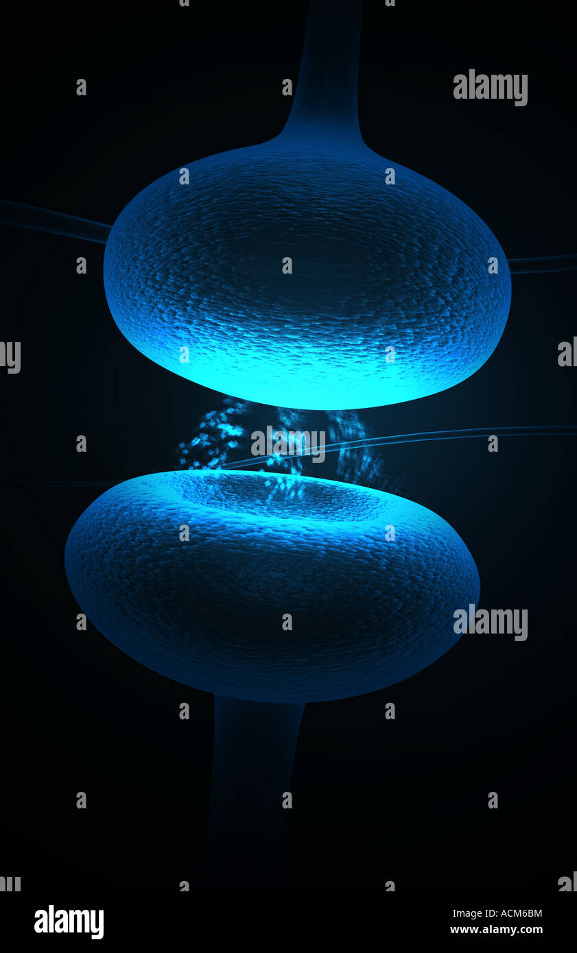 Synaptic terminals hi-res stock photography and images - Alamy