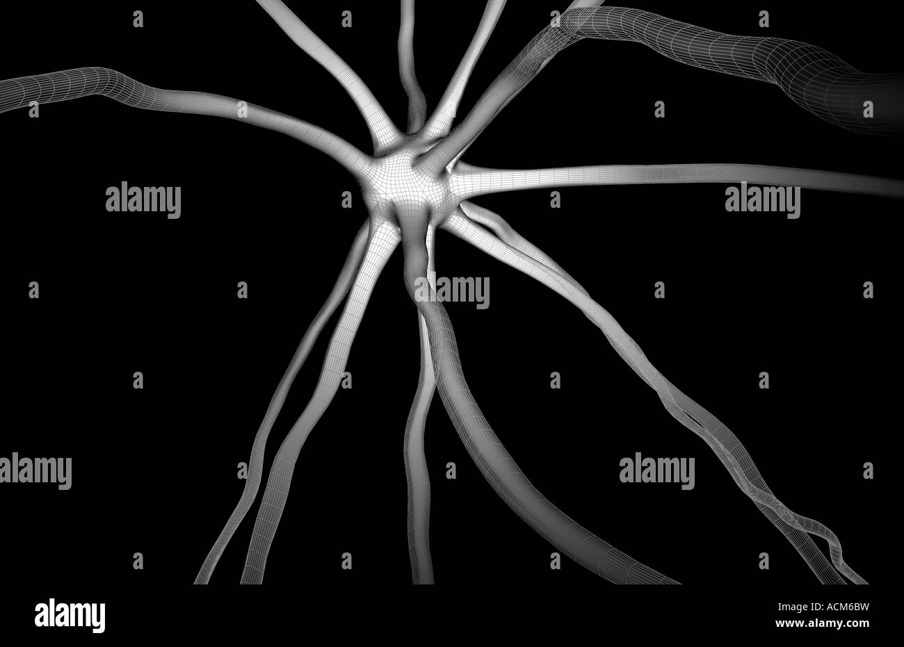 Neurons Black and White Stock Photos & Images - Alamy