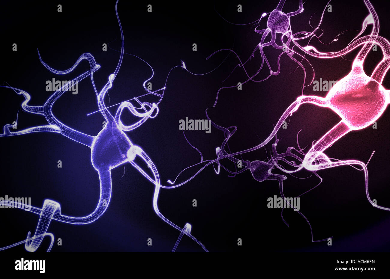 Neurons hi-res stock photography and images - Alamy