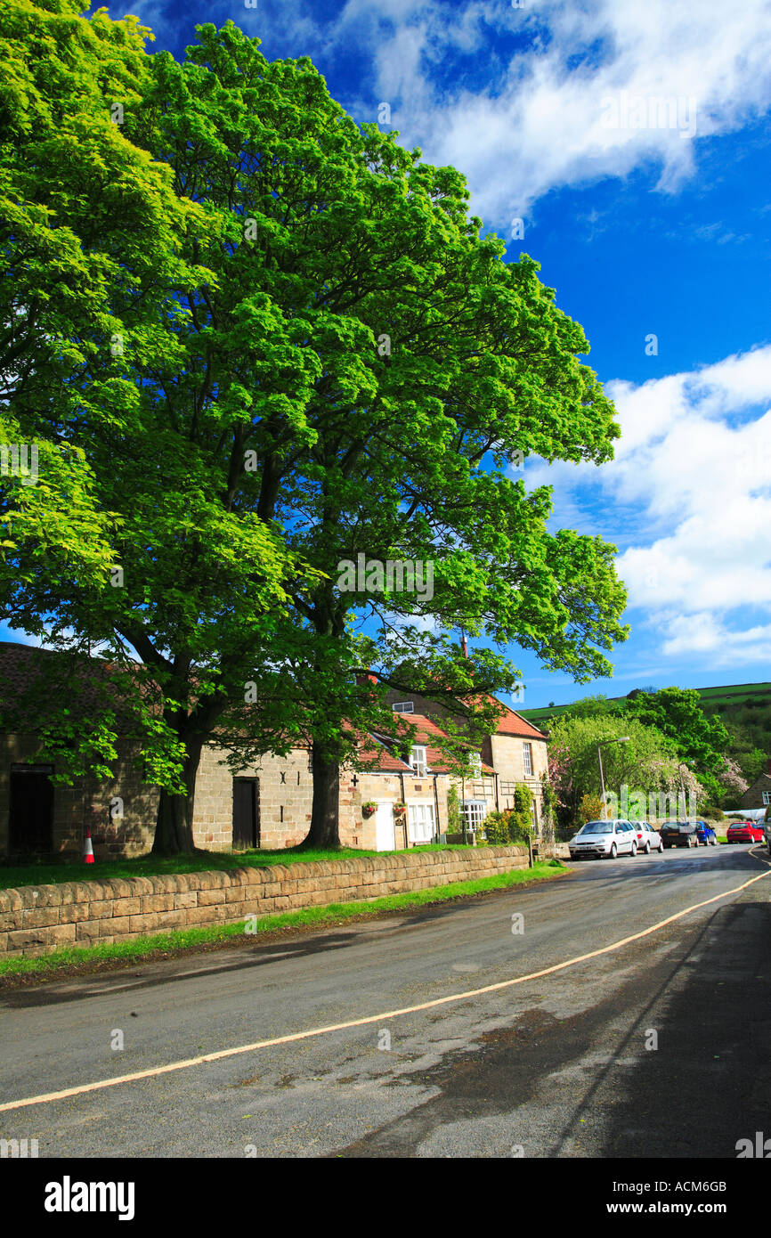 Lealholm Village North Yorkshire Moors Esk Valley England Stock Photo ...