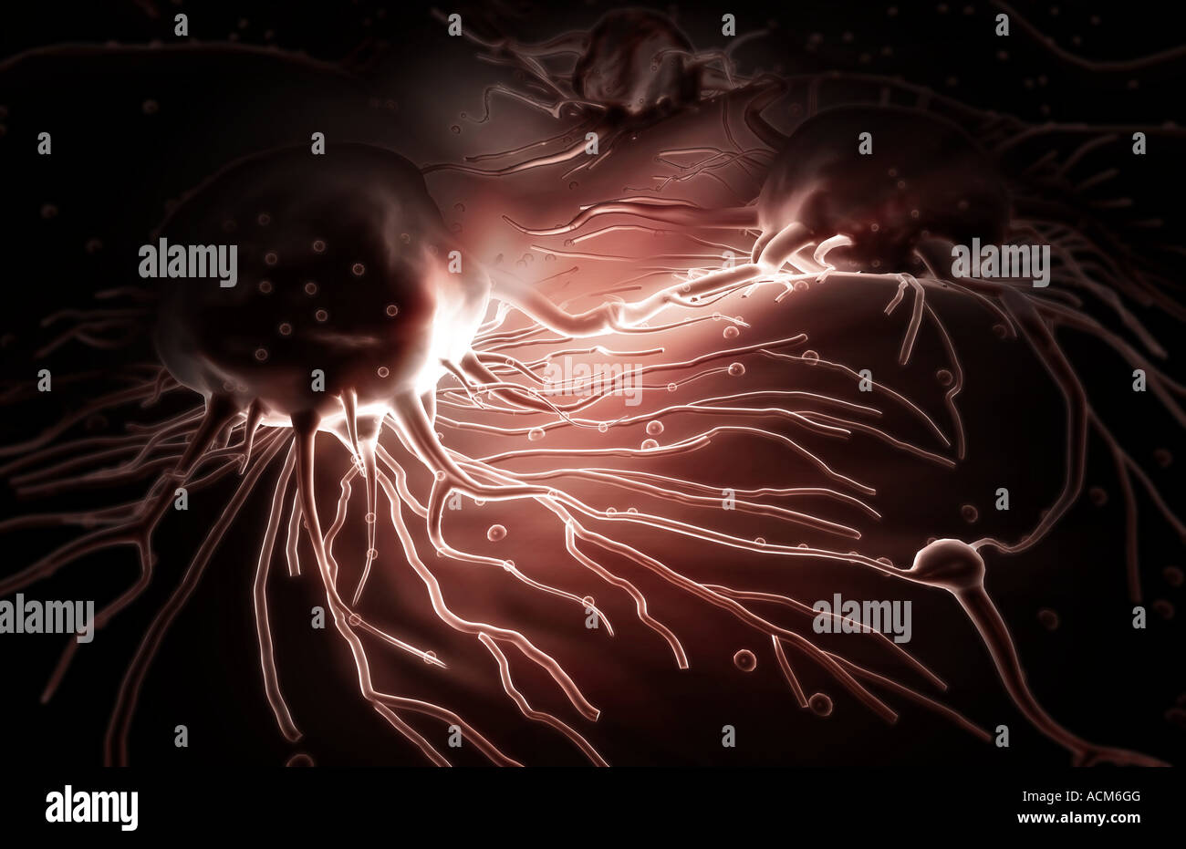 Cancer cells side by side hi-res stock photography and images - Alamy