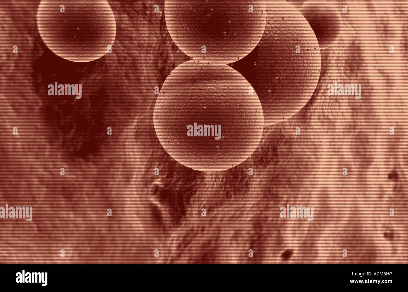 The structure of MRSA Stock Photo - Alamy