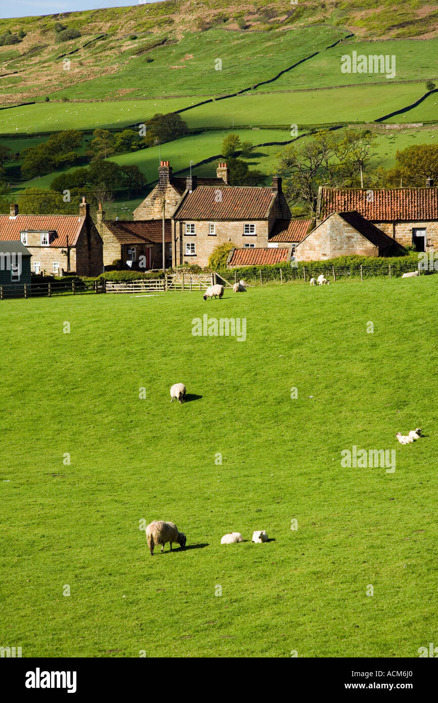 Church Houses Farndale North York Moors National Park England Stock ...