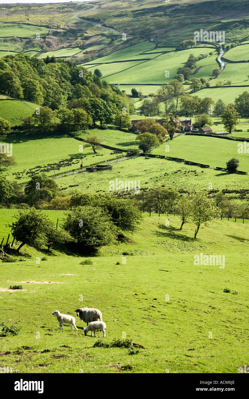 Church Houses Farndale North York Moors National Park England Stock ...