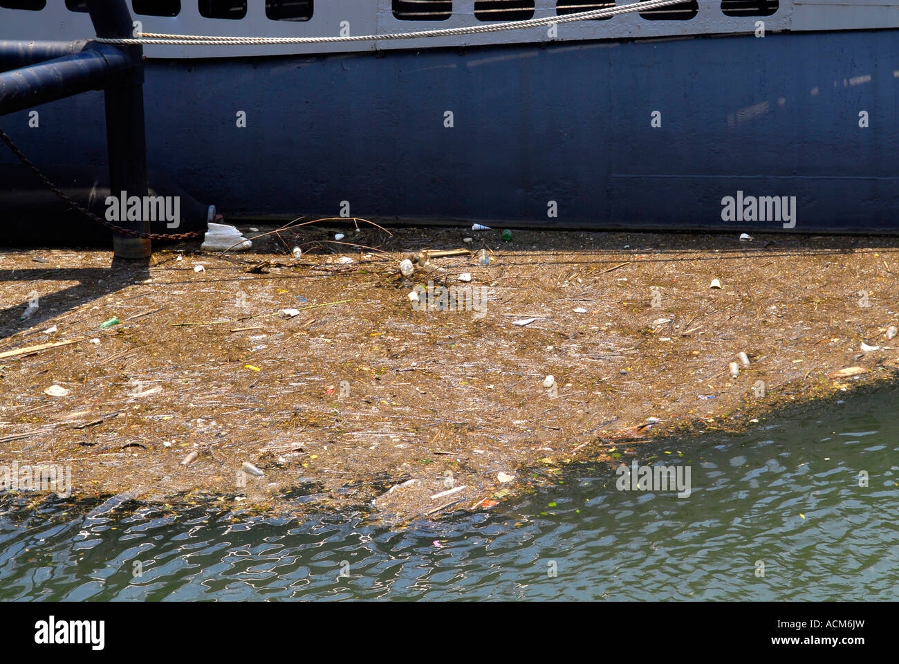 Water pollution in the Allegheny River in the city of Pittsburgh ...