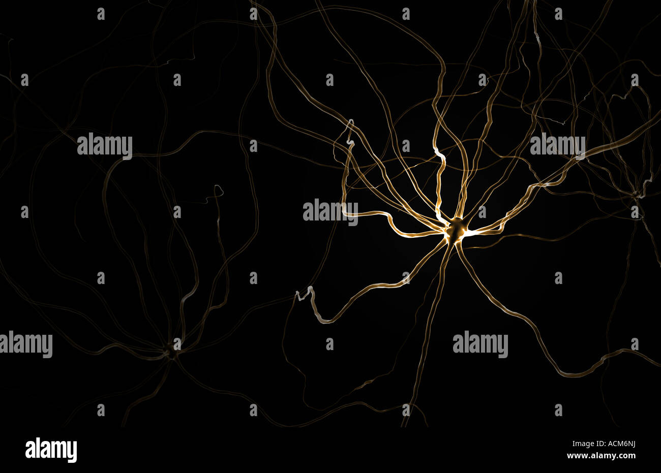 Neuronal axons hi-res stock photography and images - Alamy