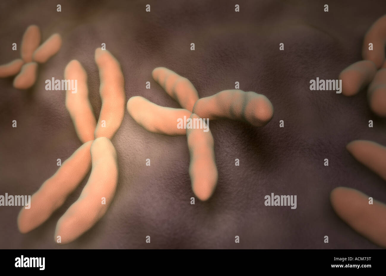 Genetic code realistic hi-res stock photography and images - Alamy