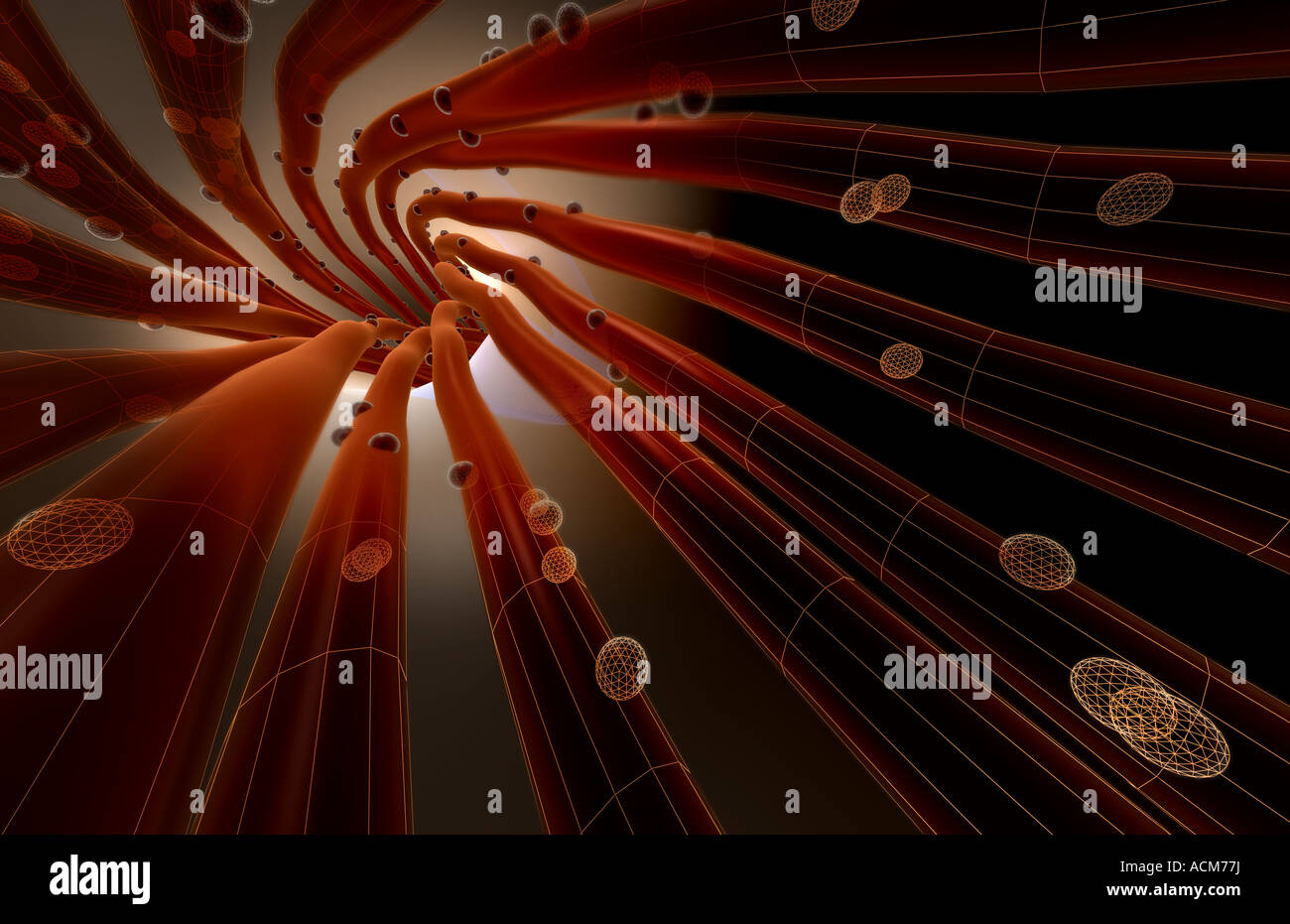 Nerve bundles hi-res stock photography and images - Alamy