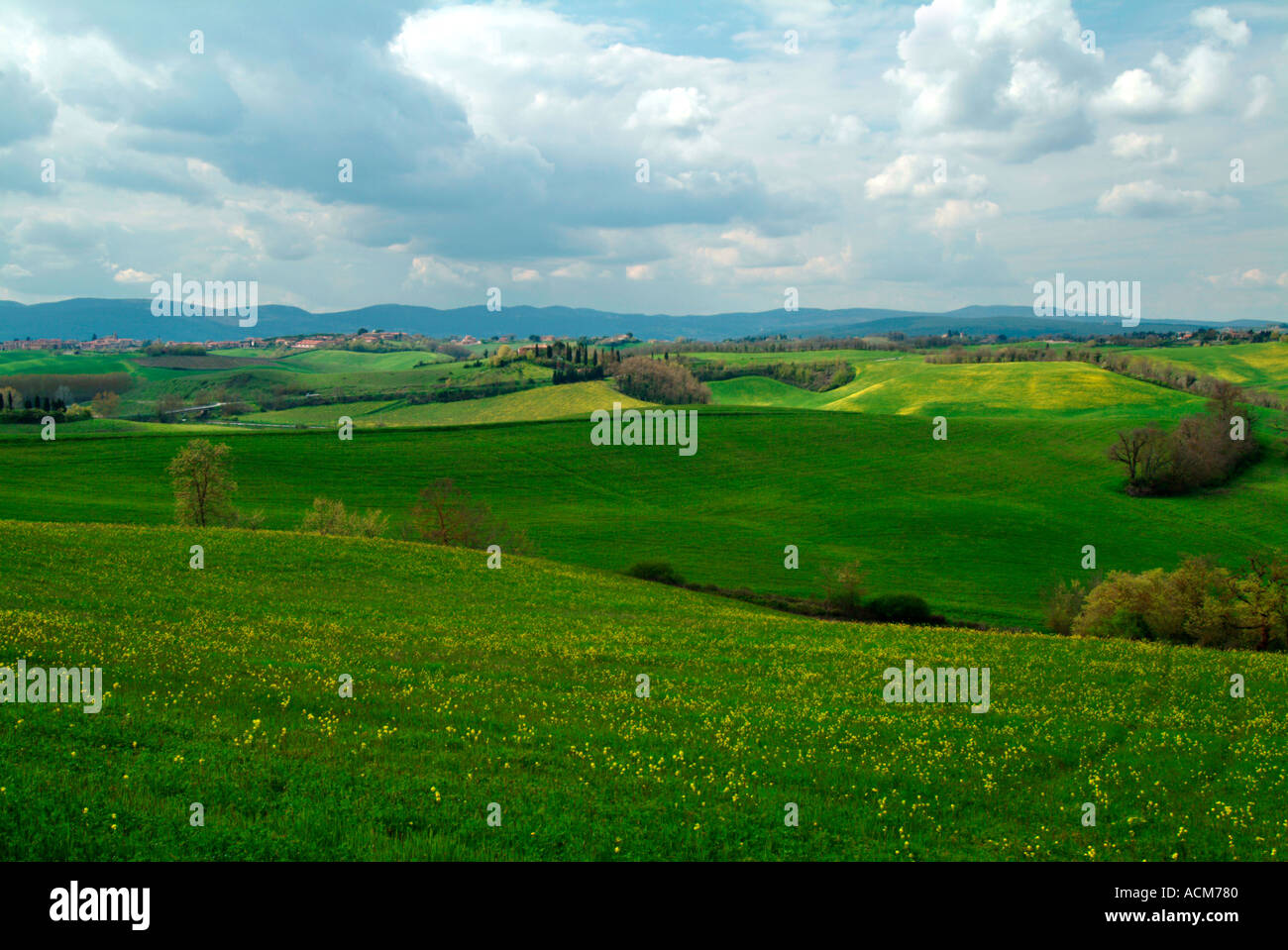 open landscape fields in Tuscany near by Siena Stock Photo - Alamy