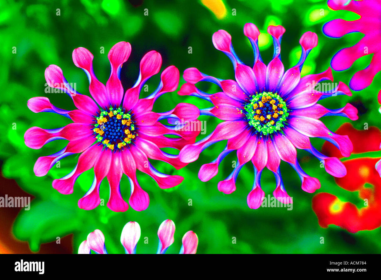 Extraordinary gardens hi-res stock photography and images - Alamy