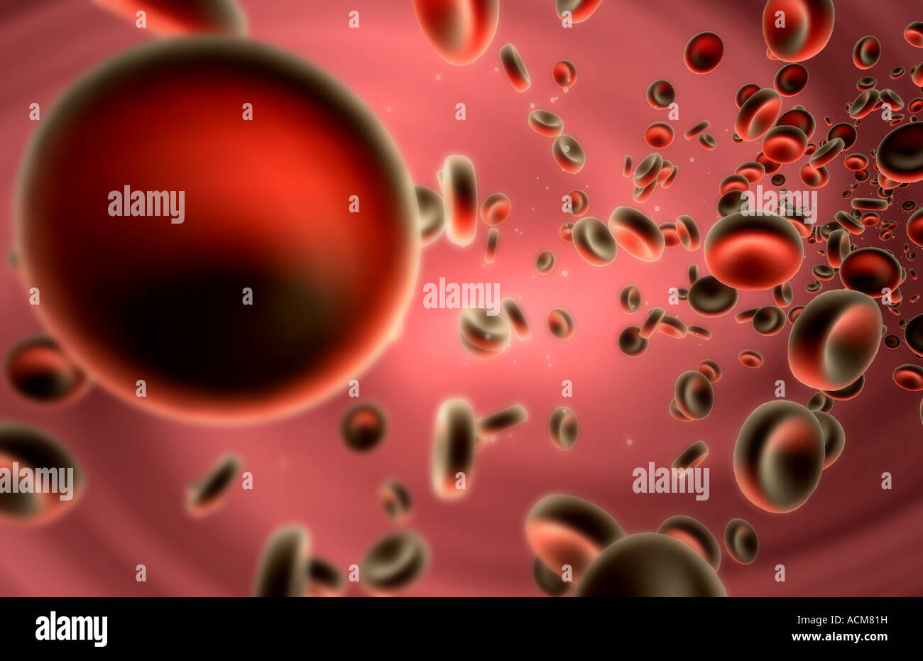 Red blood cells Stock Photo - Alamy