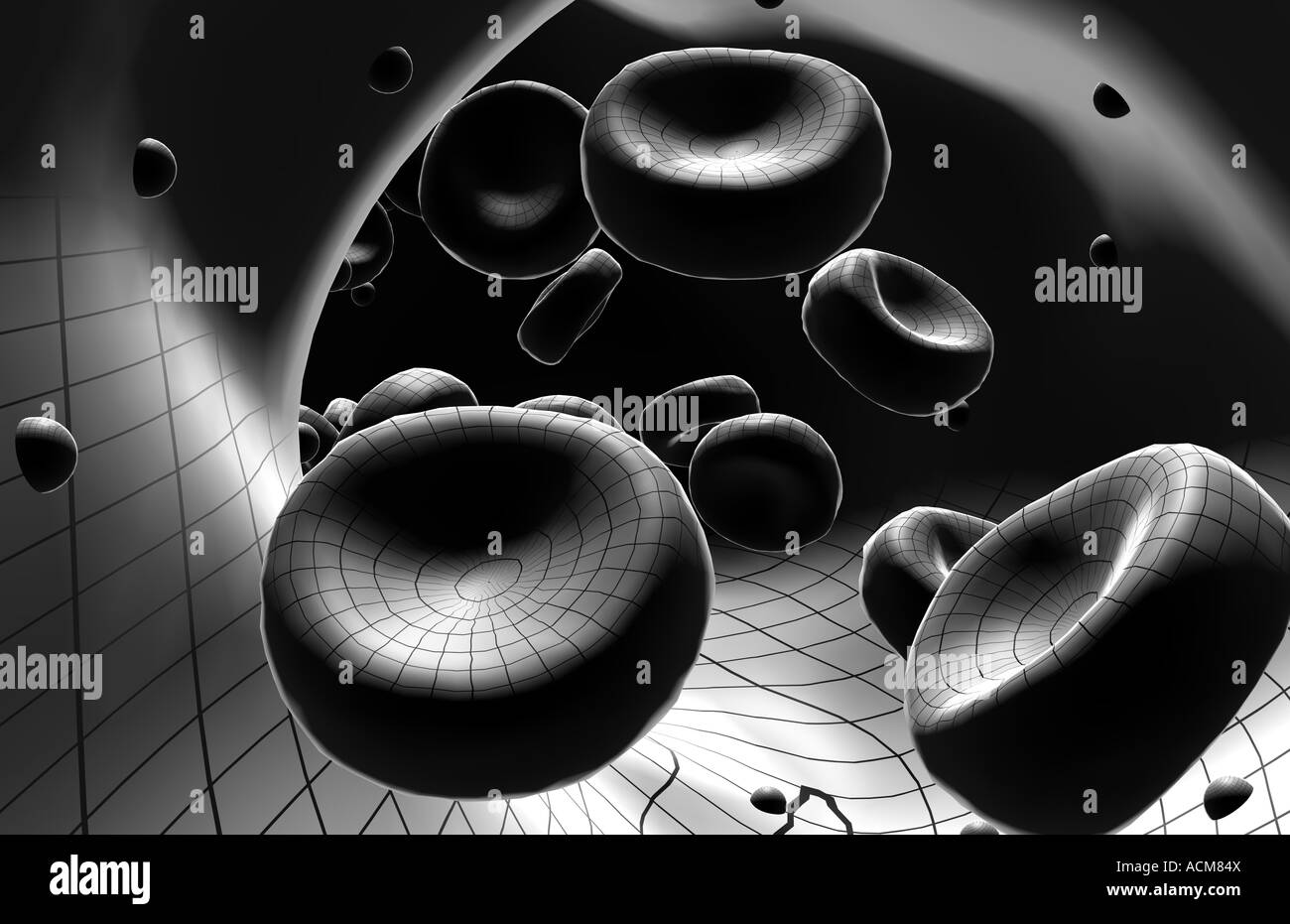 Corpuscles Black and White Stock Photos & Images - Alamy