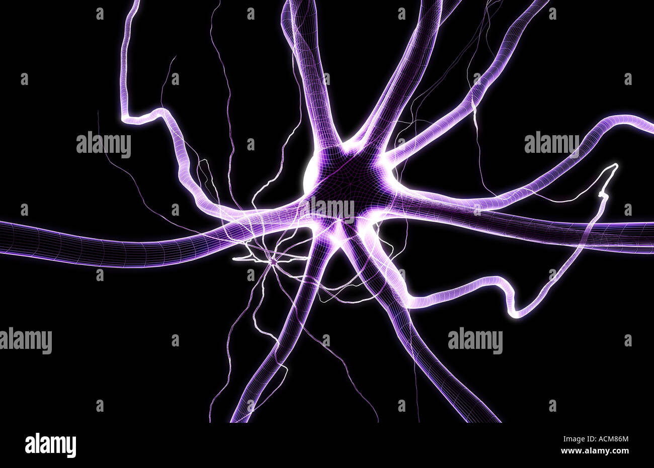 Motor neuron cells hi-res stock photography and images - Alamy