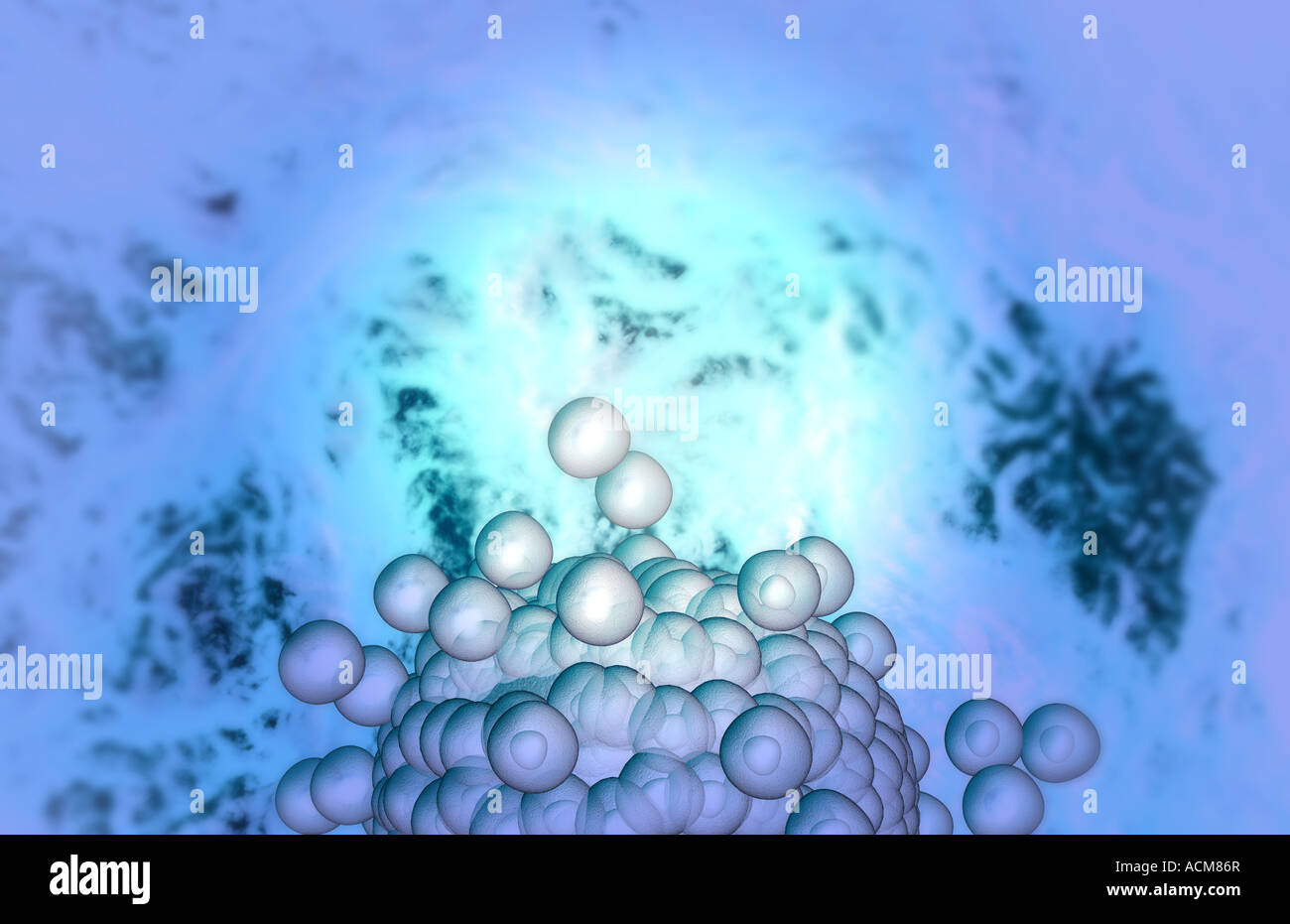 Human ovum corona radiata hi-res stock photography and images - Alamy