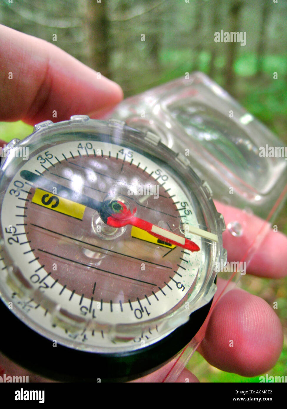orientation in forest with a compass Stock Photo - Alamy