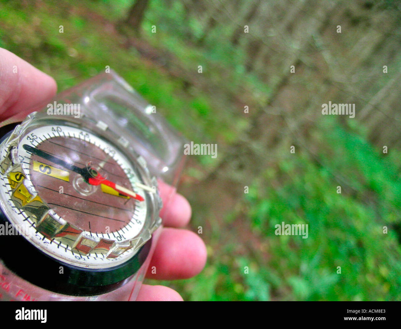 orientation in forest with a compass Stock Photo - Alamy