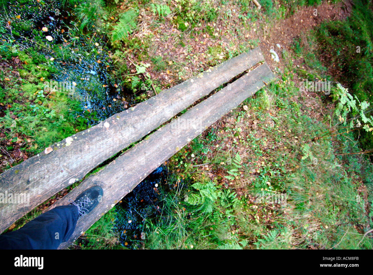 footpath with a bridge of wood planks through wetland Stock Photo - Alamy