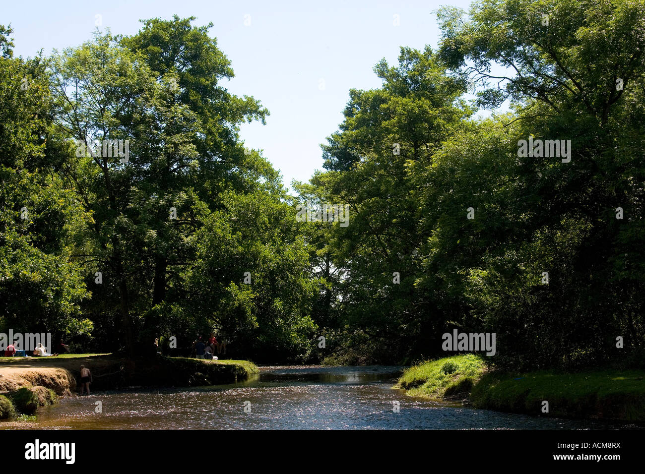 A stream between trees hi-res stock photography and images - Alamy