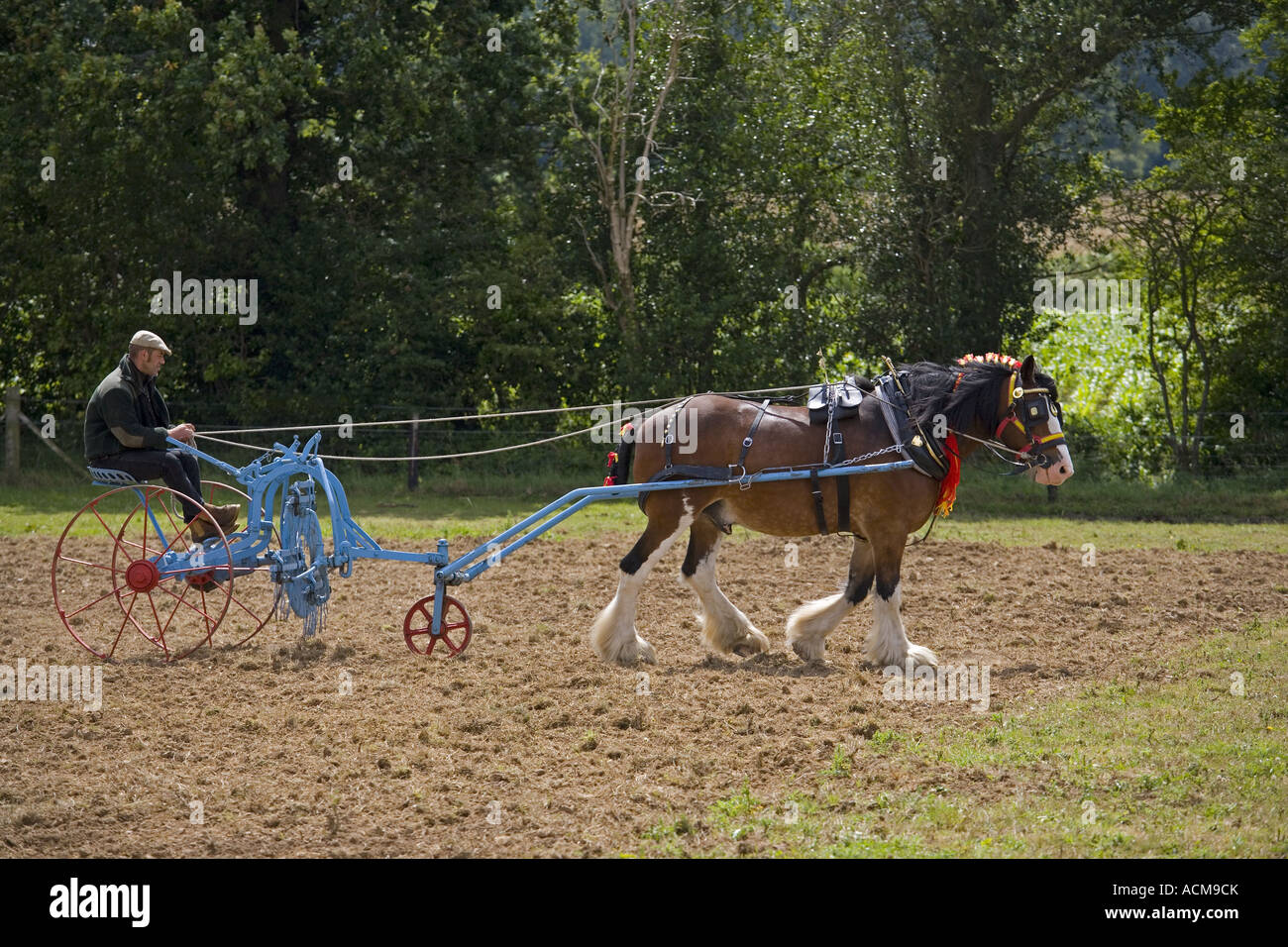 Harrowing environment hi-res stock photography and images - Alamy
